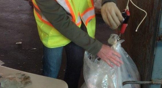 How to complete a waste audit in 5 easy steps - CleanRiver